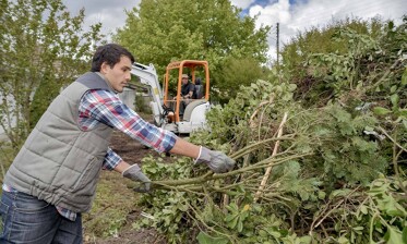 Tree Removal Jobs near you | Airtasker AU