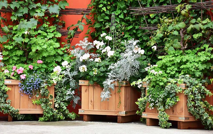 Planter Boxes - Where to Buy Them, How to Make Them, DIY | Airtasker AU