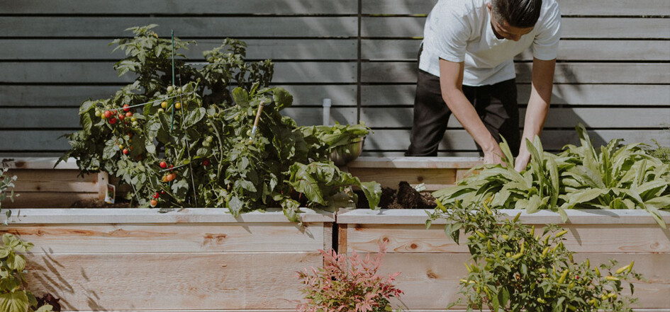 Planter Boxes - Where to Buy Them, How to Make Them, DIY | Airtasker AU