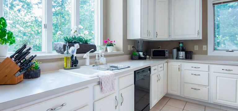 How to get rid of mice once and for all! | Airtasker AU