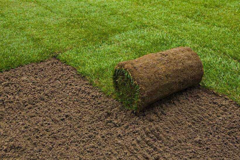 How to Perfectly Lay Turf in Your Garden - DIY Guide | Airtasker AU