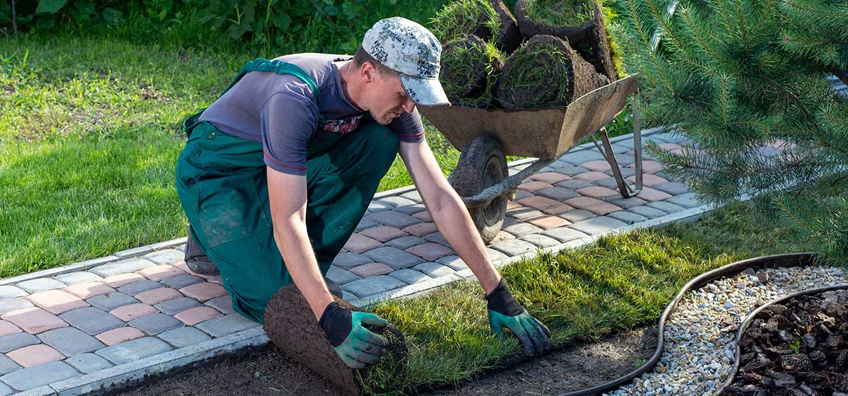 How to Perfectly Lay Turf in Your Garden - DIY Guide | Airtasker AU
