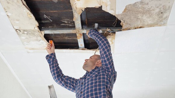 Find 1024 Best Rated Local Tradesmen near you | Airtasker AU