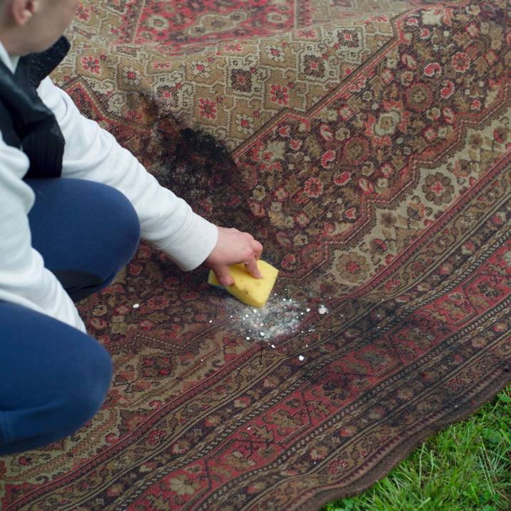Can Water Damage a Carpet? What to Do - Airtasker | Airtasker AU