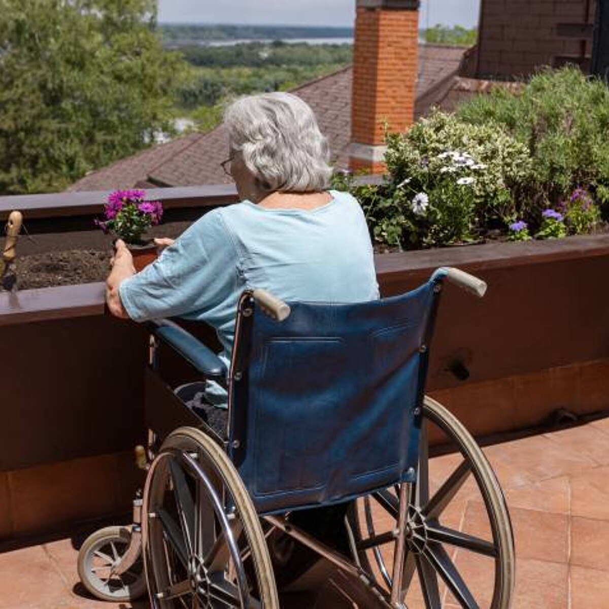 Raised Vegetable Garden Wheelchair Garden Gaming, Playmobil Trains And