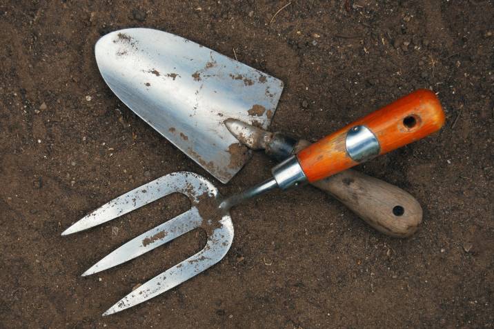 How to Clean and Sharpen Garden Tools (DIY Guide) | Airtasker AU