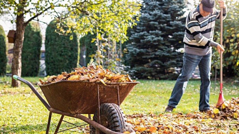 How Much Does a Gardener Cost in Australia? [2026 Data] | Airtasker AU