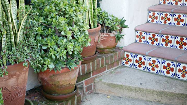 5 Garden Steps Ideas to Beautify Your Outdoor Space | Airtasker AU