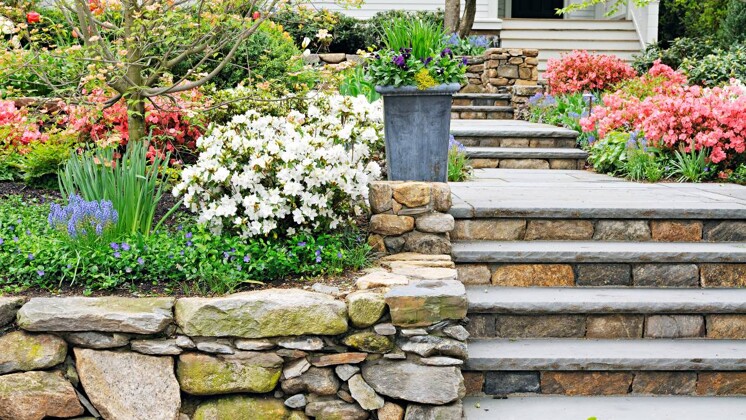 5 Garden Steps Ideas to Beautify Your Outdoor Space | Airtasker AU