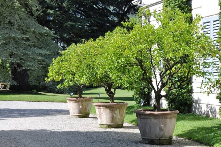 17 Contemporary Garden Design Ideas [with Pictures] | Airtasker AU