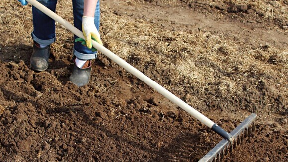 How to level an uneven lawn | Airtasker AU