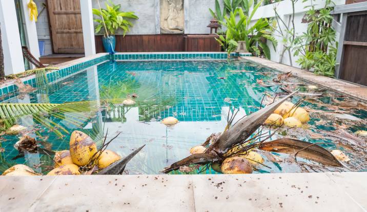 How to Clean a Dirty Pool After Rain | Airtasker AU