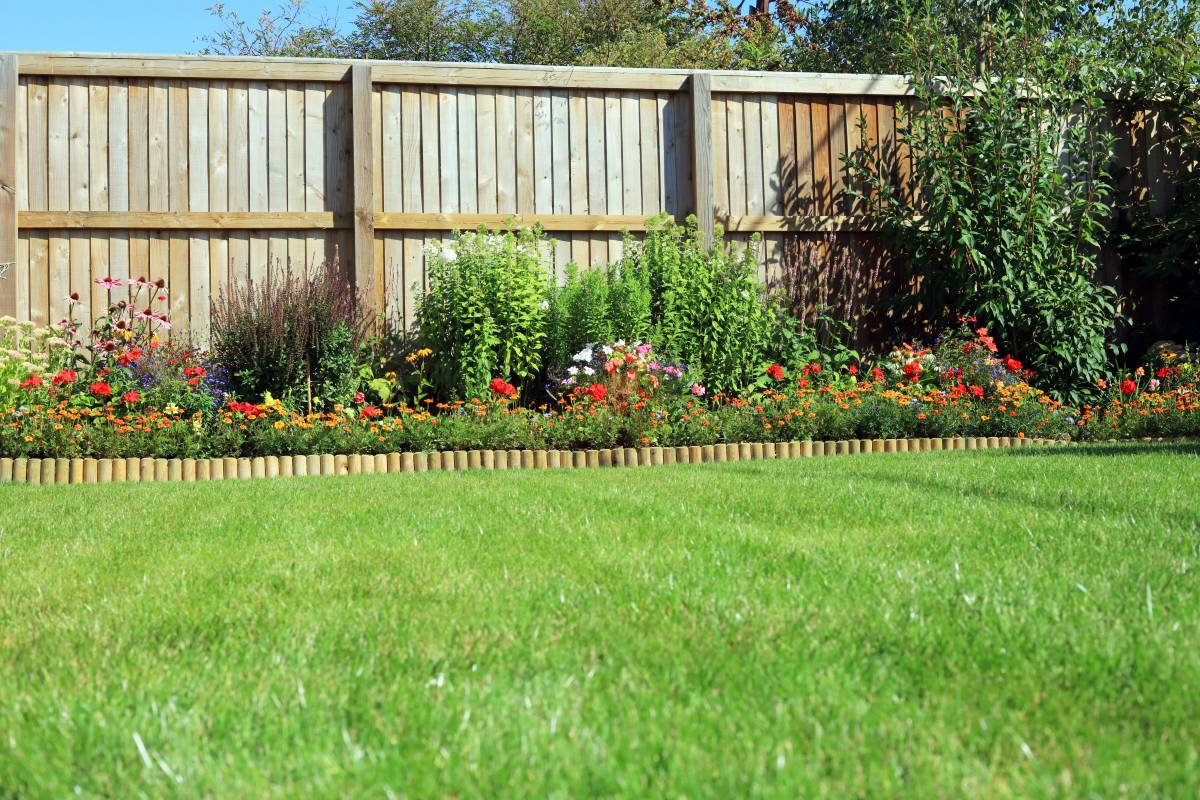 17 Awe-inspiring Garden Screening Ideas | Airtasker AU