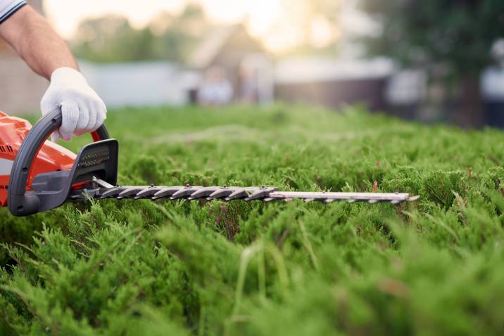 How to Trim Bushes (Step-by-Step Guide) | Airtasker AU