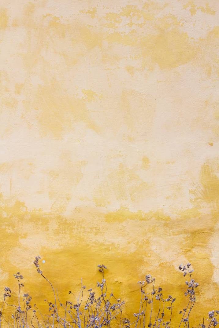Easy and Unique Wall Painting Techniques to Try | Airtasker AU