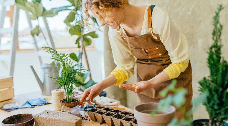 Top 10 Best Rated Local Gardeners near you | Airtasker UK