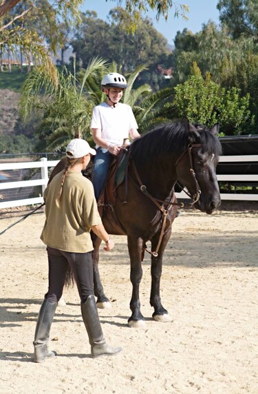 How Much Are Horseback Riding Lessons? | Airtasker US