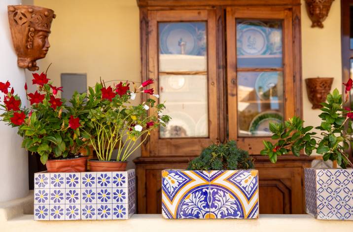 Garden Planter Ideas | Airtasker UK