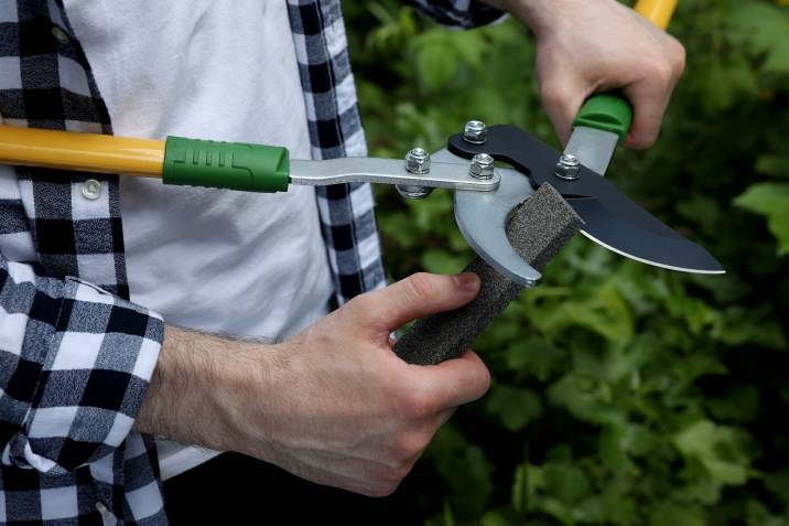 How to Sharpen Secateurs | Airtasker AU