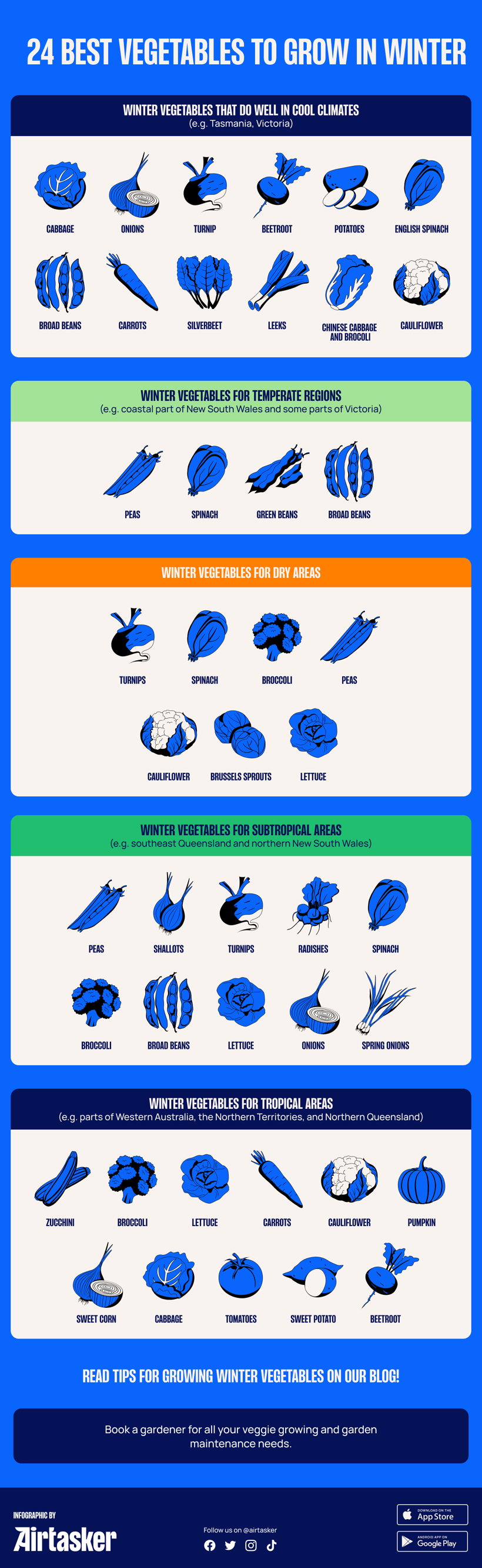 What are the best vegetables to grow in winter? | Airtasker AU