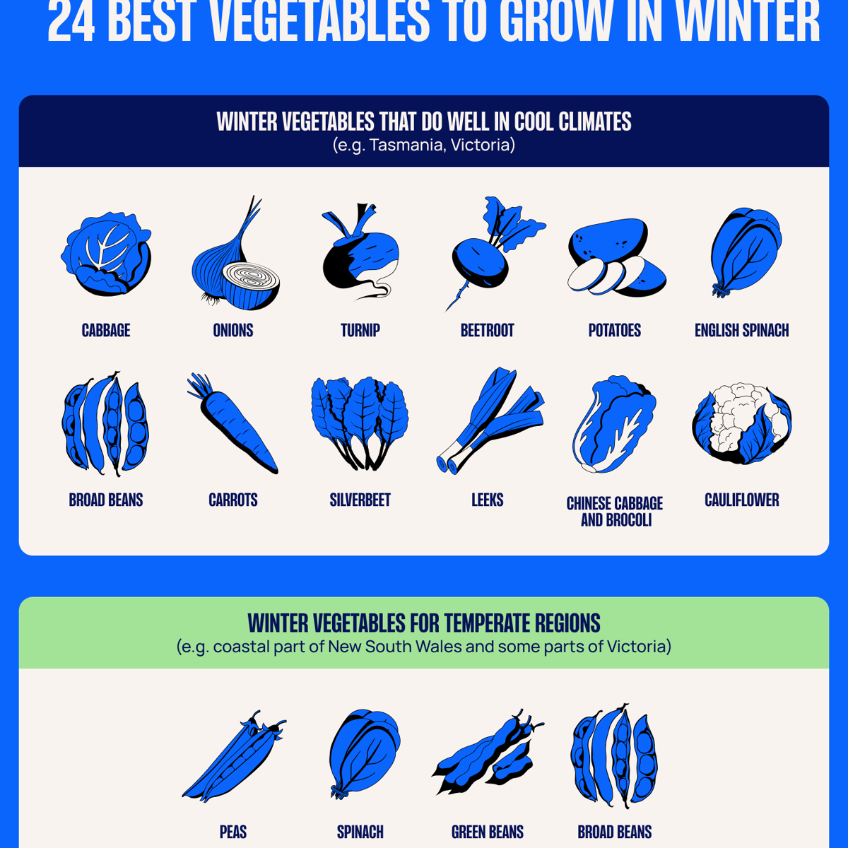 10 Best Vegetables To Grow In Winter Zone 14 Best Vegetables To Plant