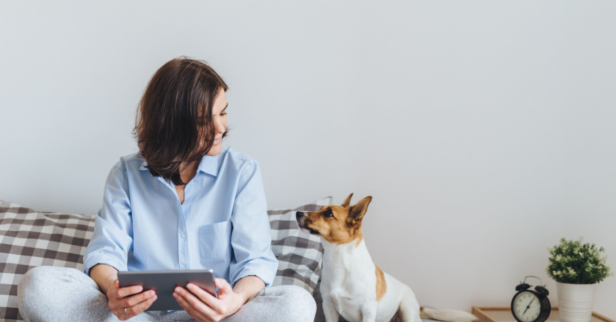 Pet Sitting Jobs near you | Airtasker AU