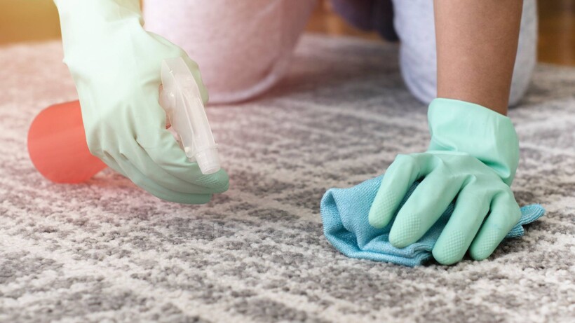 How to Clean Vomit Off a Carpet | Airtasker UK