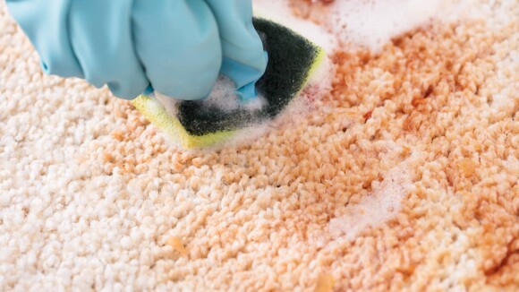 Can Water Damage a Carpet? What to Do - Airtasker | Airtasker AU