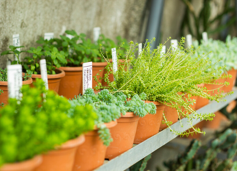 How to Build a Greenhouse | Airtasker US