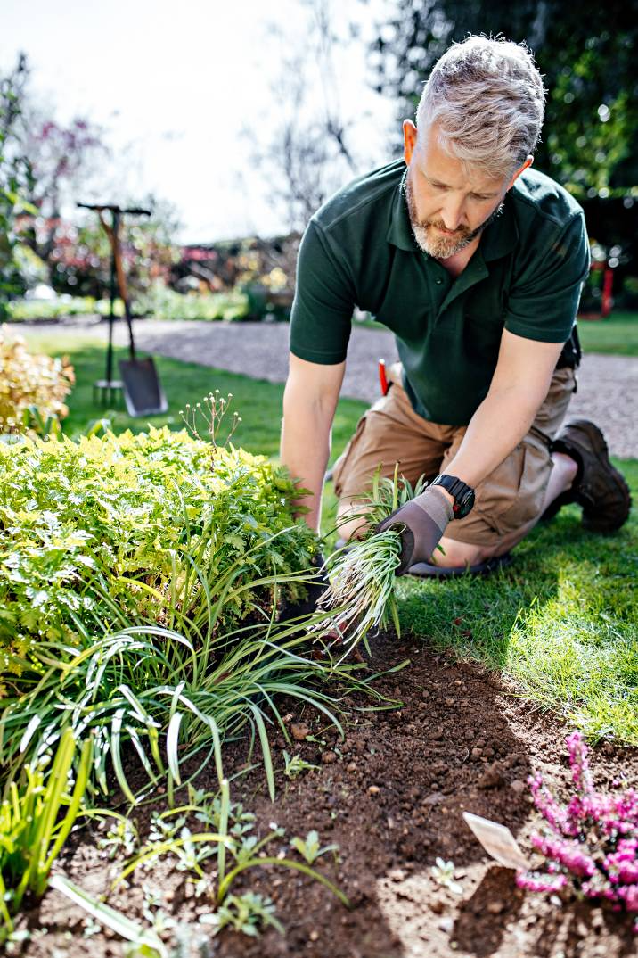 How Much Does it Cost to Hire a Gardener in 2025? | Airtasker AU