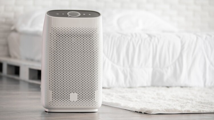 Air Purifier vs Dehumidifier: Which Is the Better Choice? | Airtasker AU