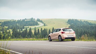 Station Wagon vs SUV: What Are Their Key Differences? | Airtasker AU