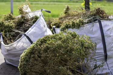 Garden Waste Collections & Disposal Services near you | Airtasker UK