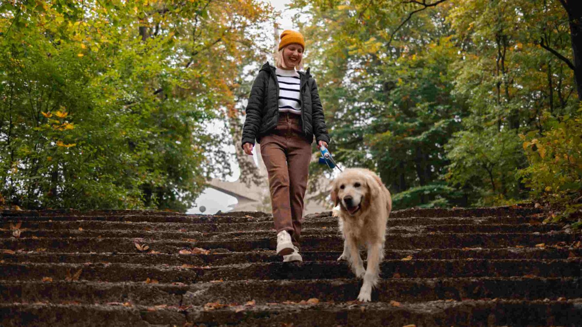 Top 10 Best Rated Dog Walkers near you | Airtasker AU