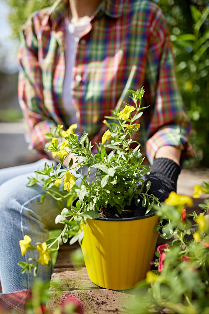 How Much Does it Cost to Hire a Gardener in 2025? | Airtasker AU