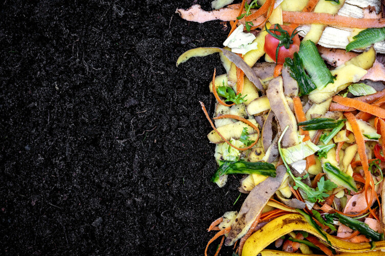 Compost vs Fertiliser: Which is Better for Your Garden? | Airtasker AU