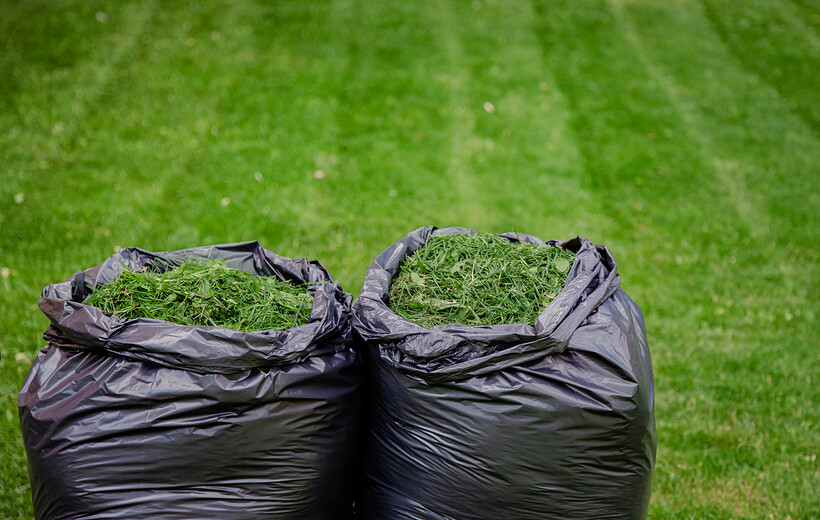 Bagging Grass vs Mulching: Which is Best for Your Lawn? | Airtasker AU