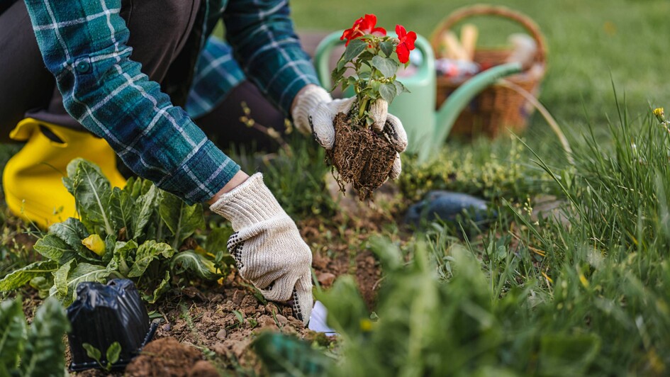 How Much Does a Gardener Cost in Australia? [2026 Data] | Airtasker AU
