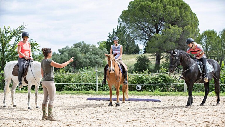 Top 10 Best Horse Riding Lessons near you | Airtasker UK