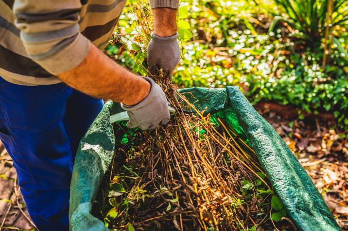 How To Remove Hedges Without Any Legal Problems | Airtasker UK