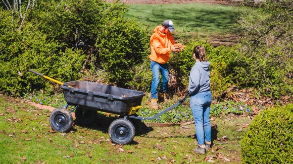 Top 10 Best Rated Local Gardeners near you | Airtasker UK