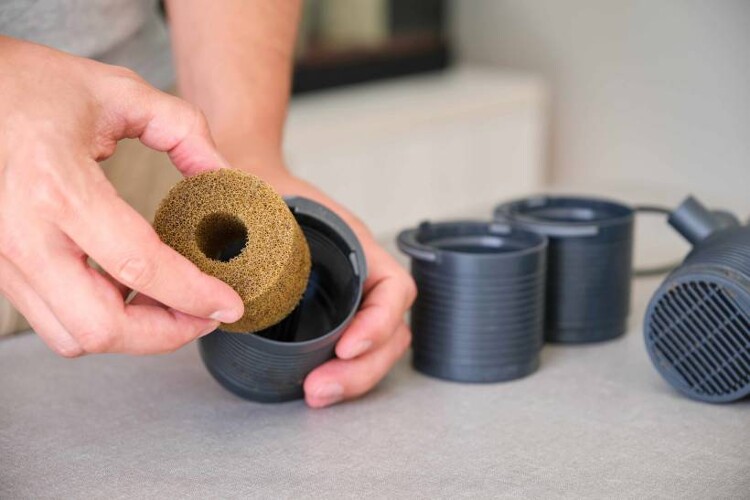 A Beginner’s Guide to Cleaning a Fish Tank | Airtasker AU