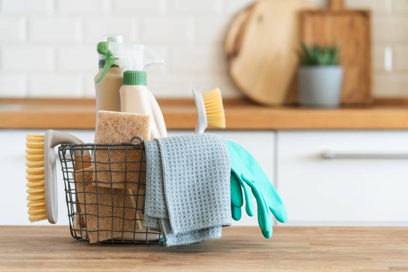 The Ultimate Guide to Cleaning a Cat Litter Box | Airtasker AU