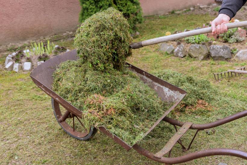 How to Dispose of Garden Waste: Sustainable Methods and More | Airtasker UK