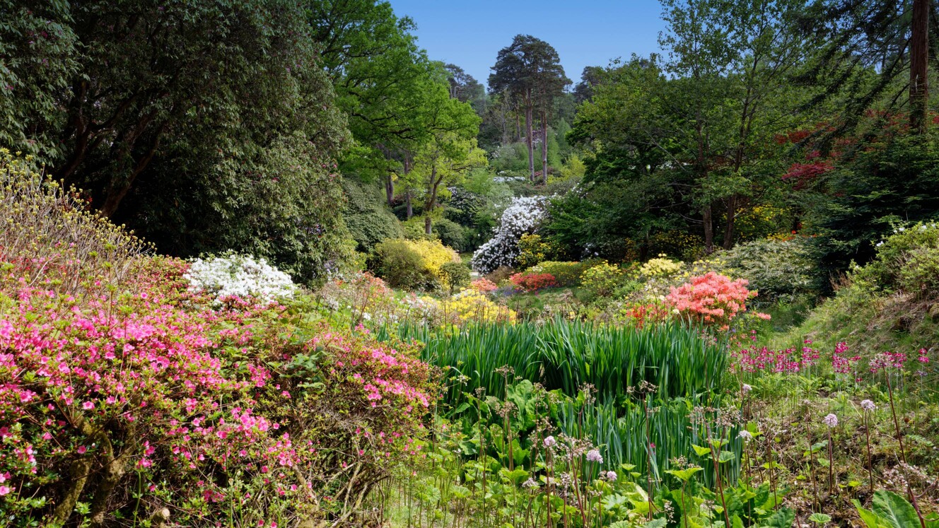 French Garden vs English Garden: Which Is for You? | Airtasker UK