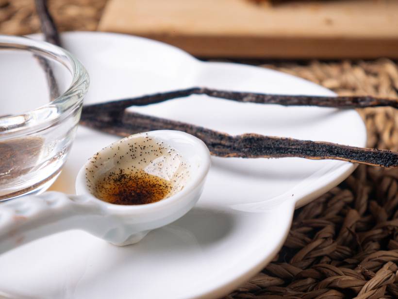 Vanilla Essence vs Vanilla Extract: What’s the Difference? | Airtasker AU