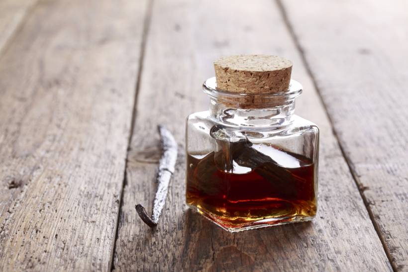 Vanilla Essence vs Vanilla Extract: What’s the Difference? | Airtasker AU