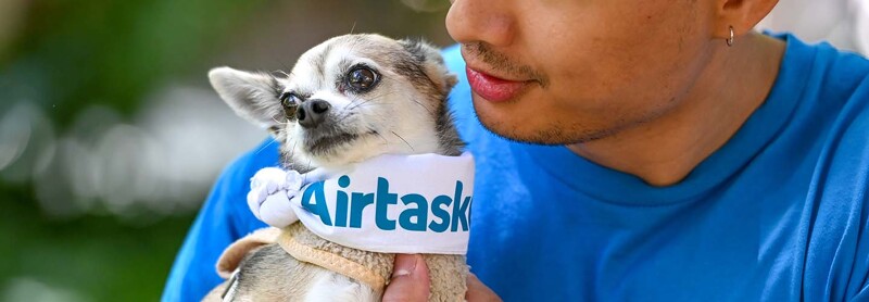 Cat Sitting Jobs near you | Airtasker AU
