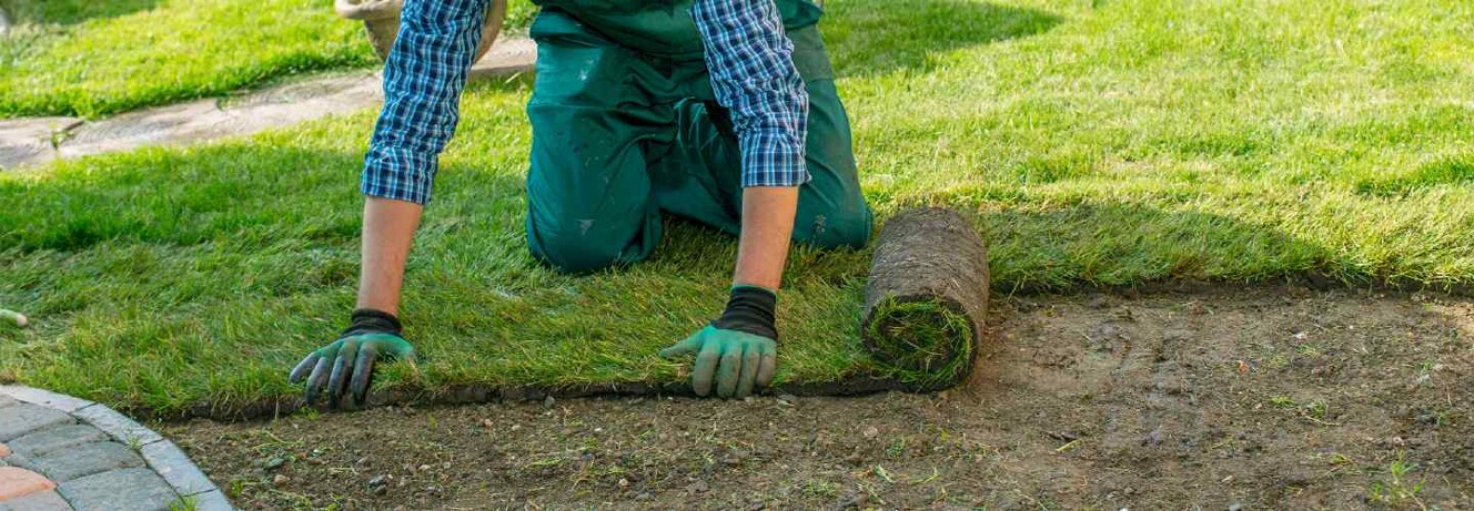 Top 10 Best Rated Lawn Repairers near you | Airtasker AU
