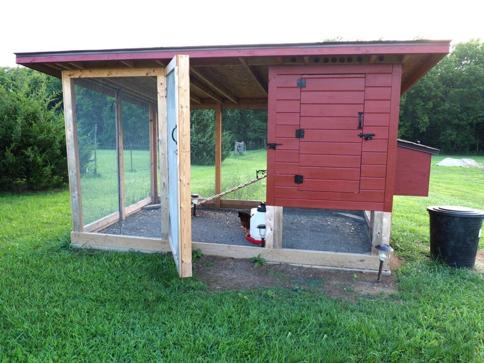 Fox Proof Your Chicken Coop with These Easy Steps | Airtasker US